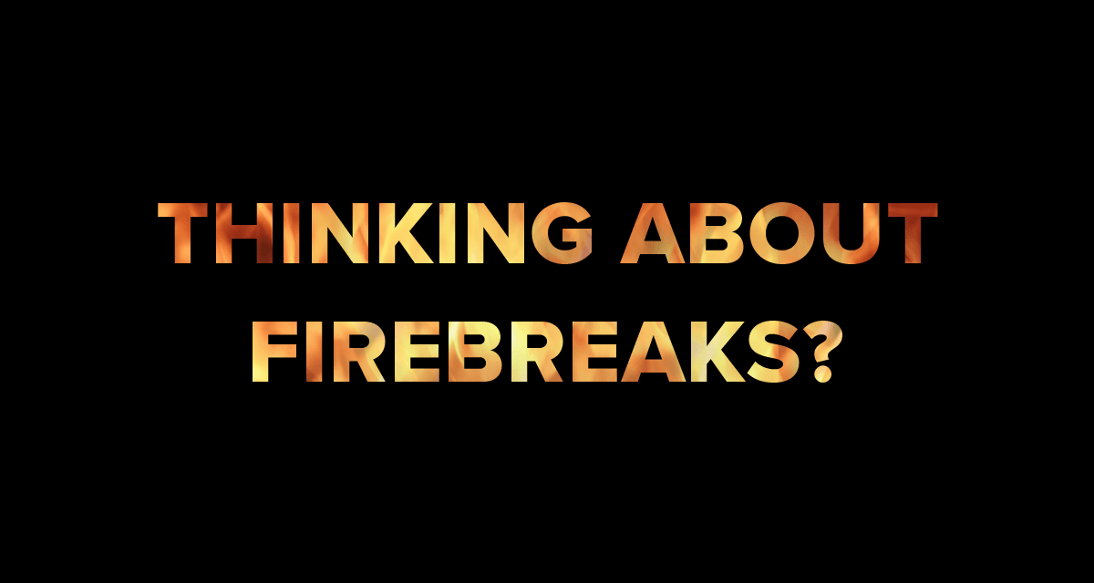 Thinking About Firebreaks? - Serafin Machinery